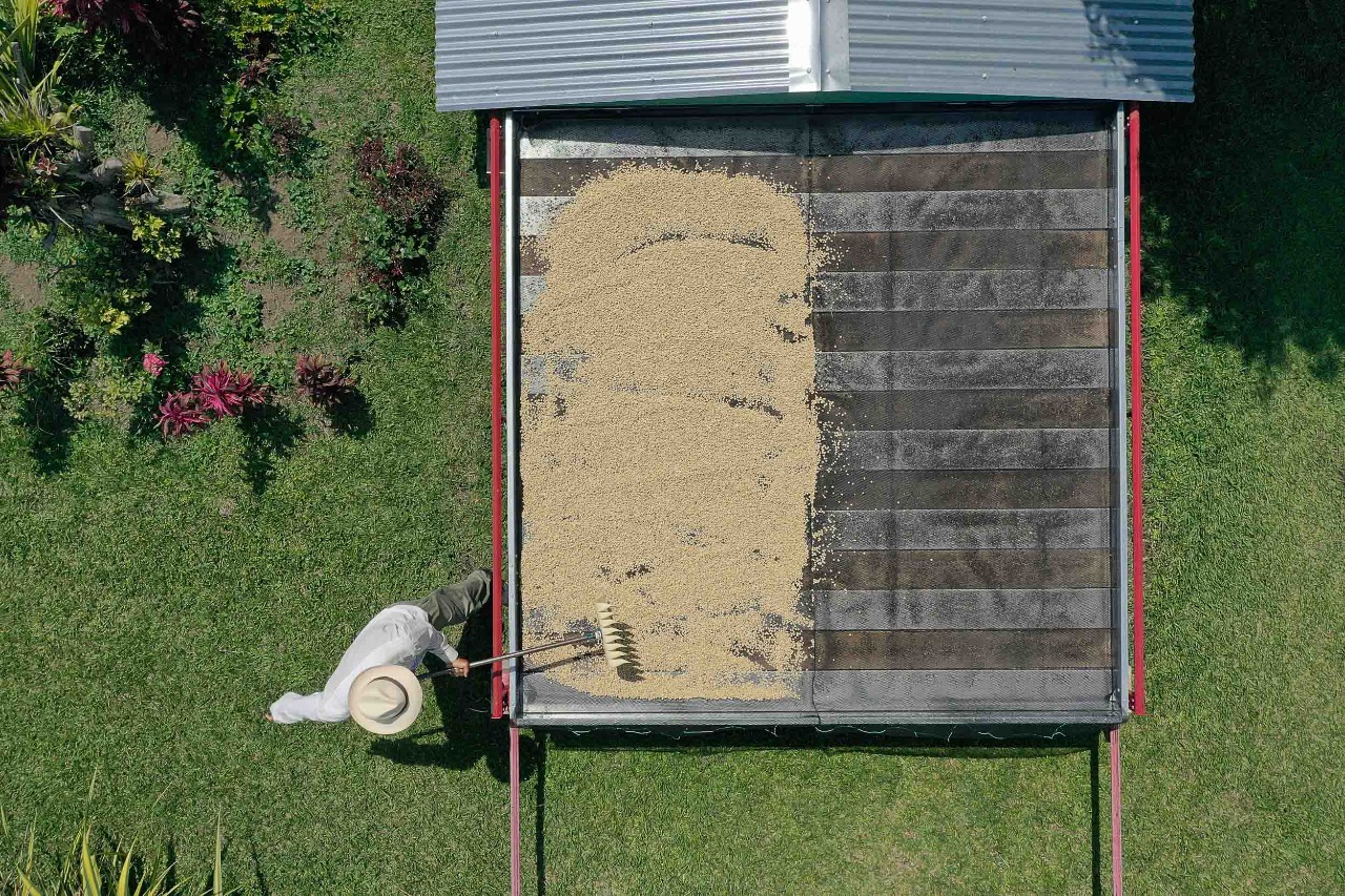 Servicios al Caficultor - Federación Nacional de Cafeteros Santander