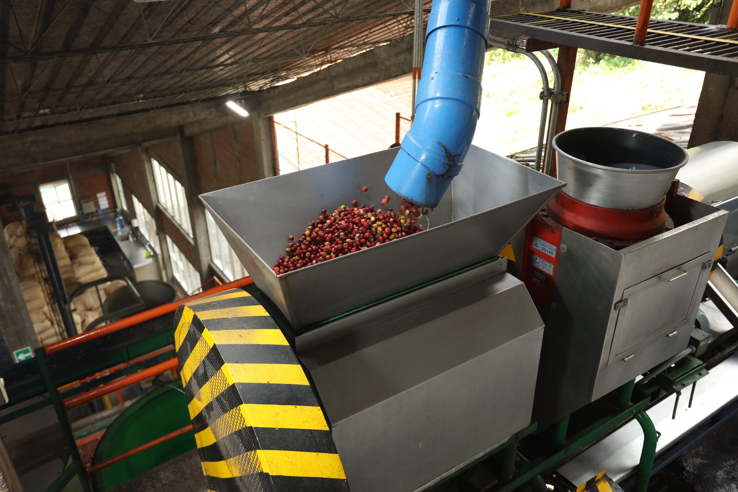 Servicios al Caficultor - Federación Nacional de Cafeteros