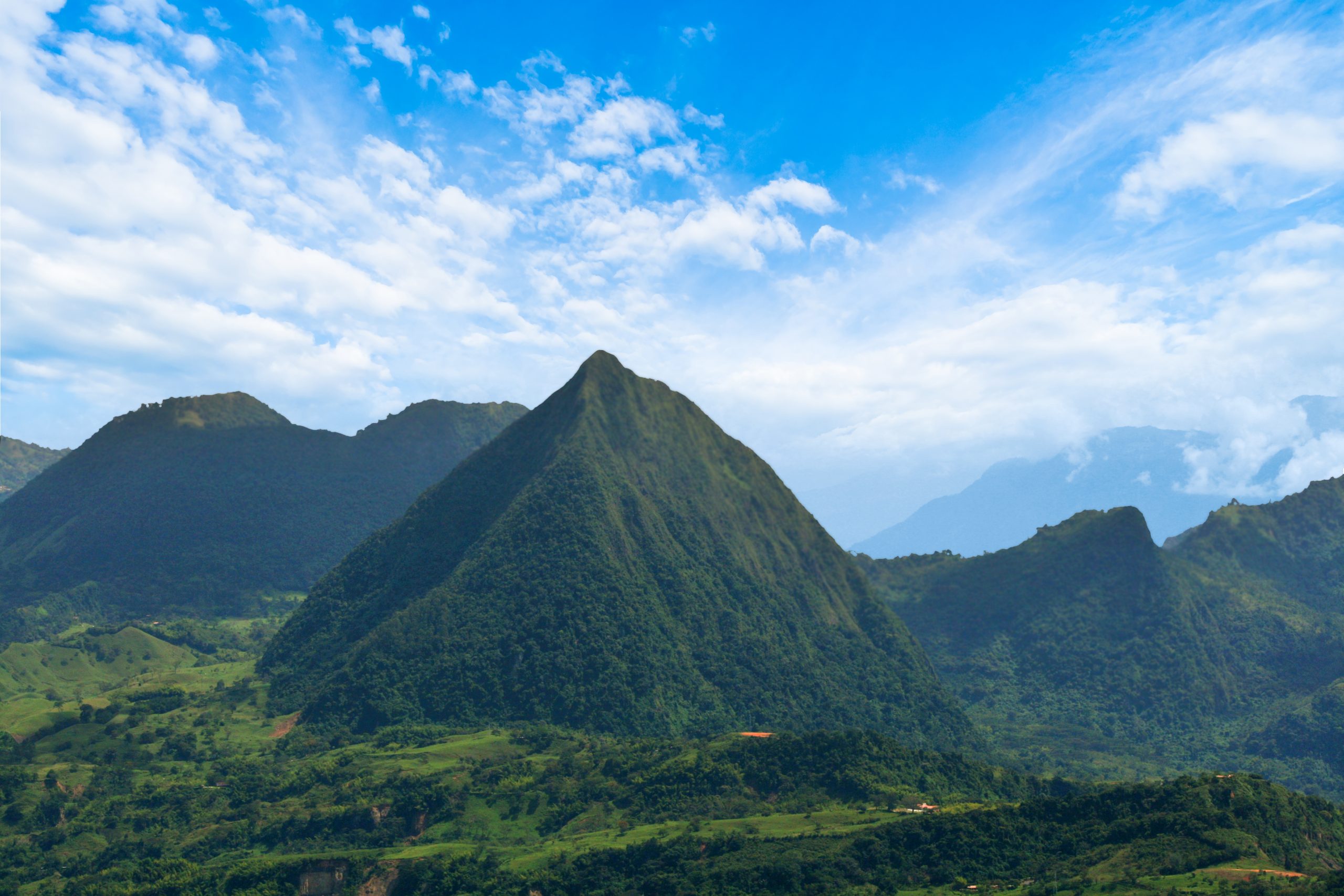 FoNC - FEPC - Federación Nacional de Cafeteros