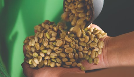 Guía de buenas prácticas de poscosecha para café lavado colombiano ...